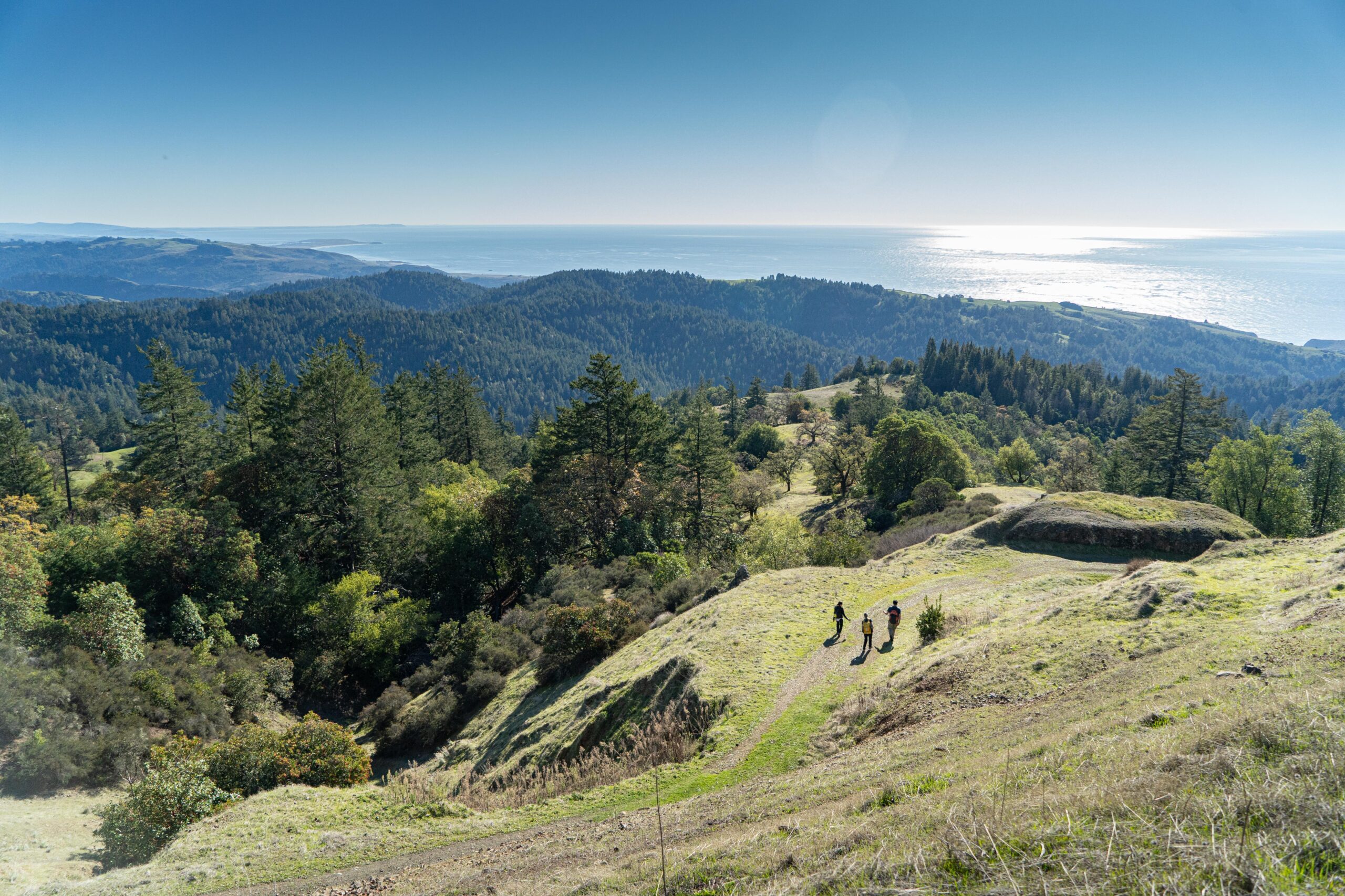 Are Dogs Allowed At Jenner Headlands