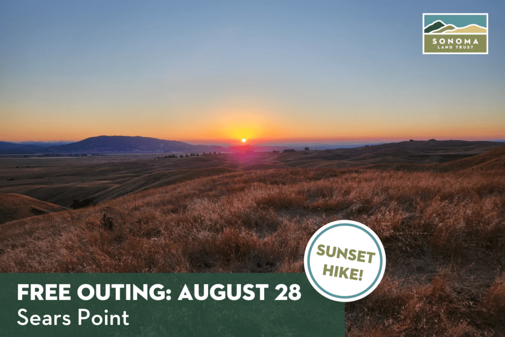 Sonoma Land Trust Hosted Outings And Events - Join Us On The Land