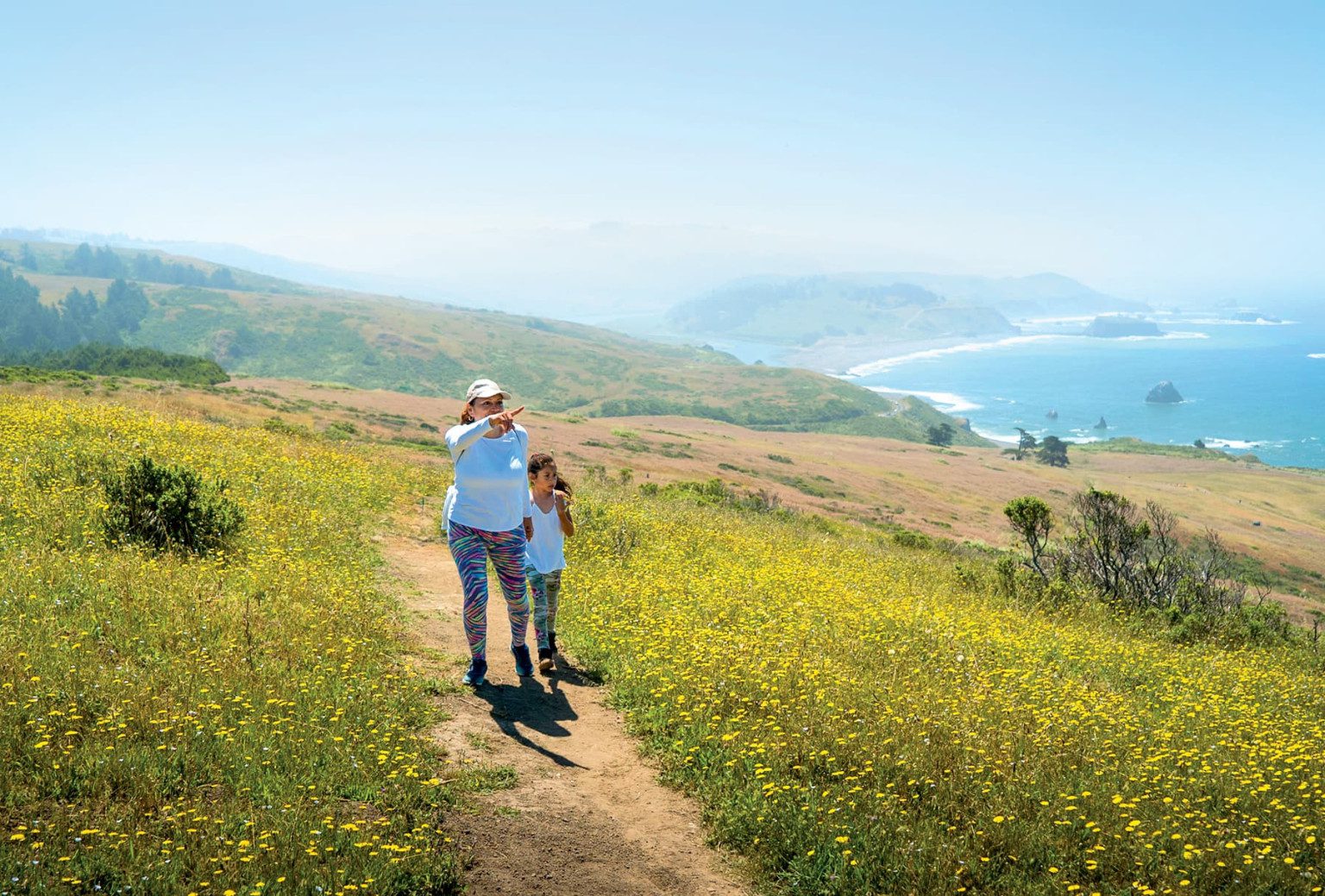 a change of scene at Sears Point — Sonoma Land Trust