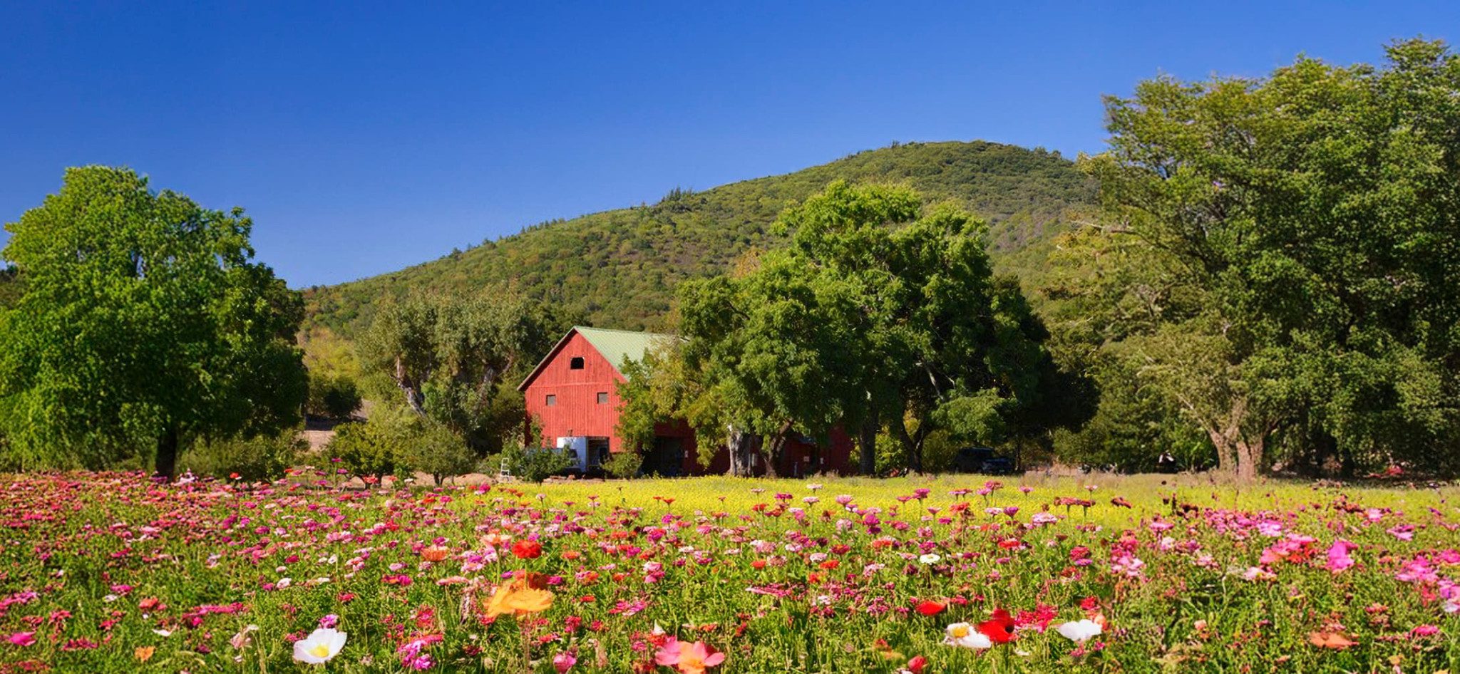 Accessible Nature Experiences — Sonoma Land Trust